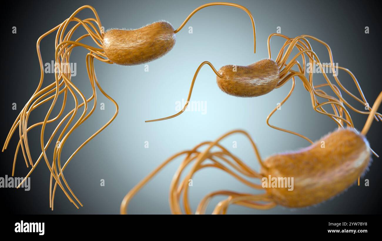 3d rendering of Pseudomonas fluorescens, It is motile due to the ...