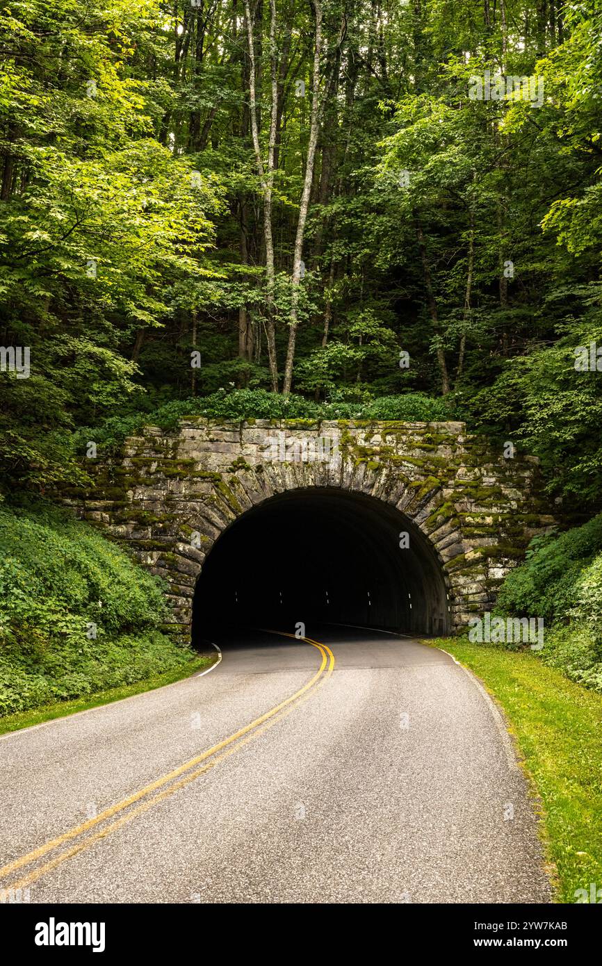 Bright Green Plants Surround Big Witch Tunnel Along Blue Ridge Parkway ...