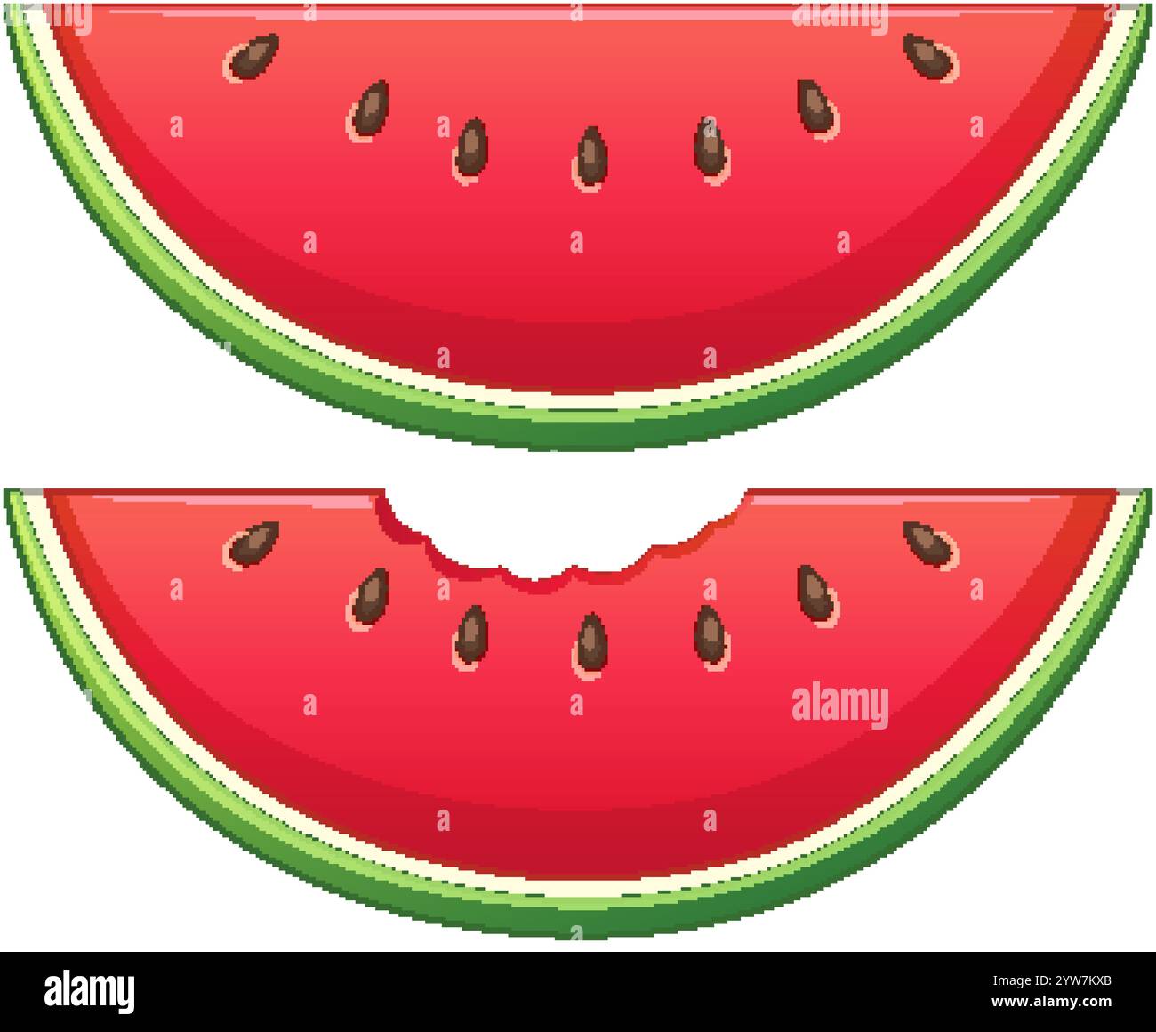 Two vibrant watermelon slices, one with a bite Stock Vector Image & Art ...