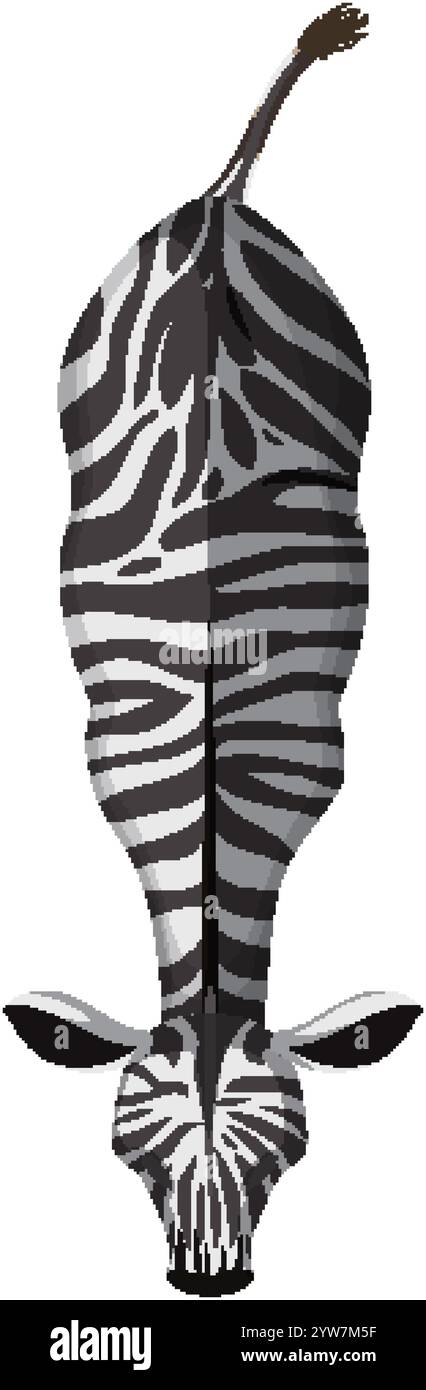 Stylized zebra from above with bold stripes Stock Vector Image & Art ...