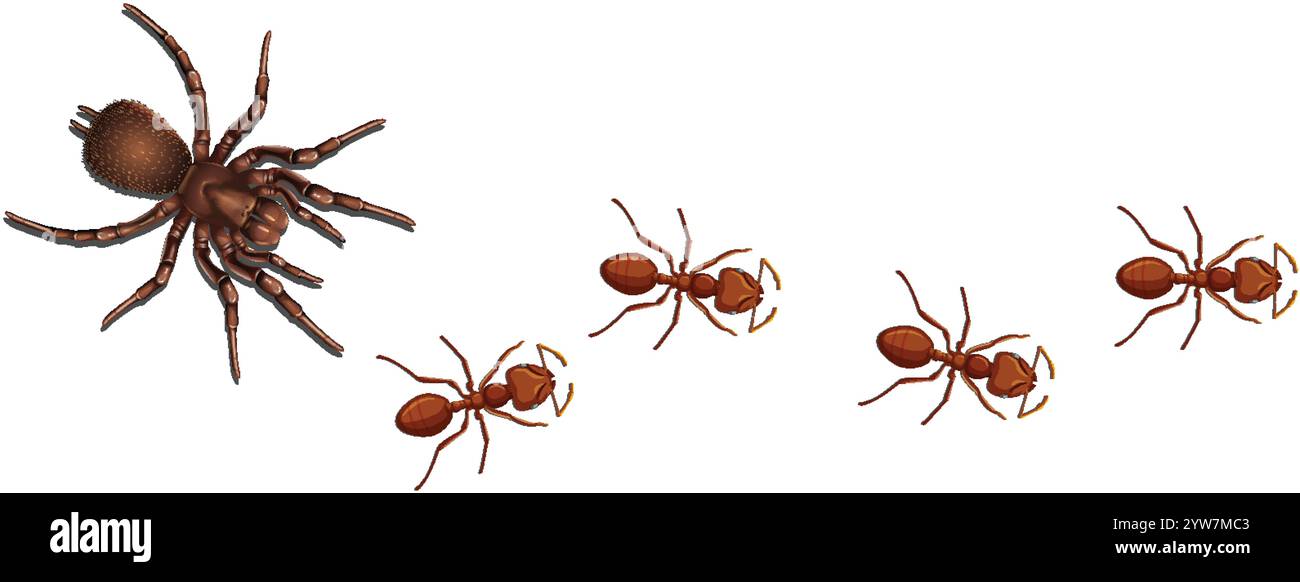 Illustration of ants and a spider together Stock Vector Image & Art - Alamy