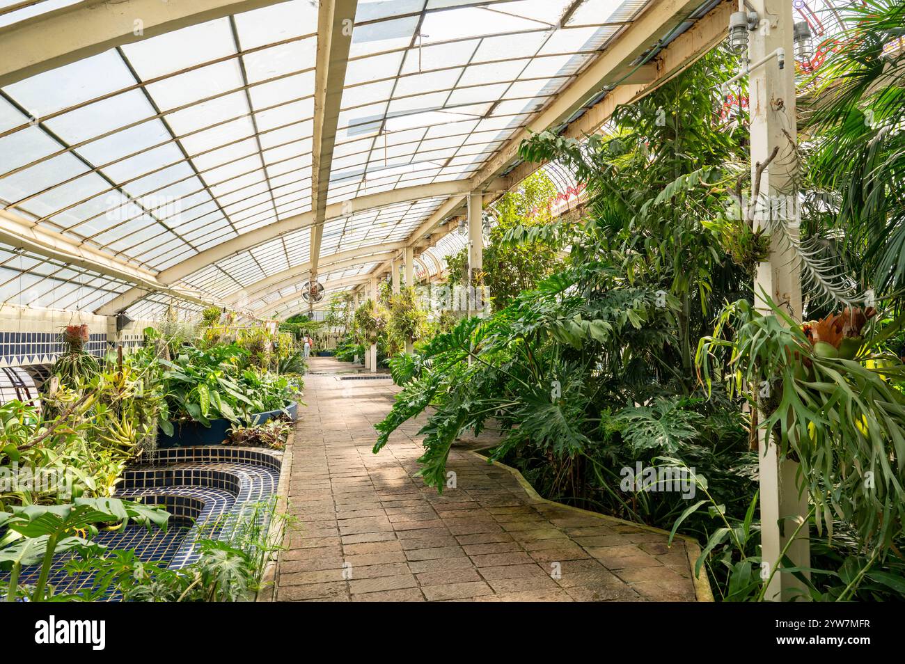 Botanical gardens Mexico City Chapultepec Stock Photo - Alamy