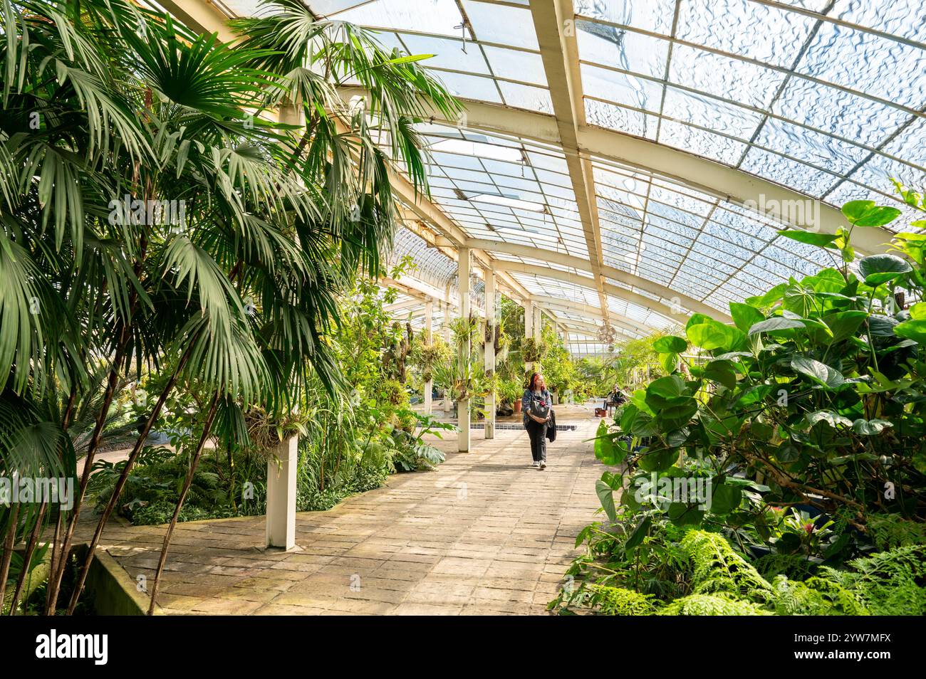 Botanical gardens Mexico City Chapultepec Stock Photo - Alamy