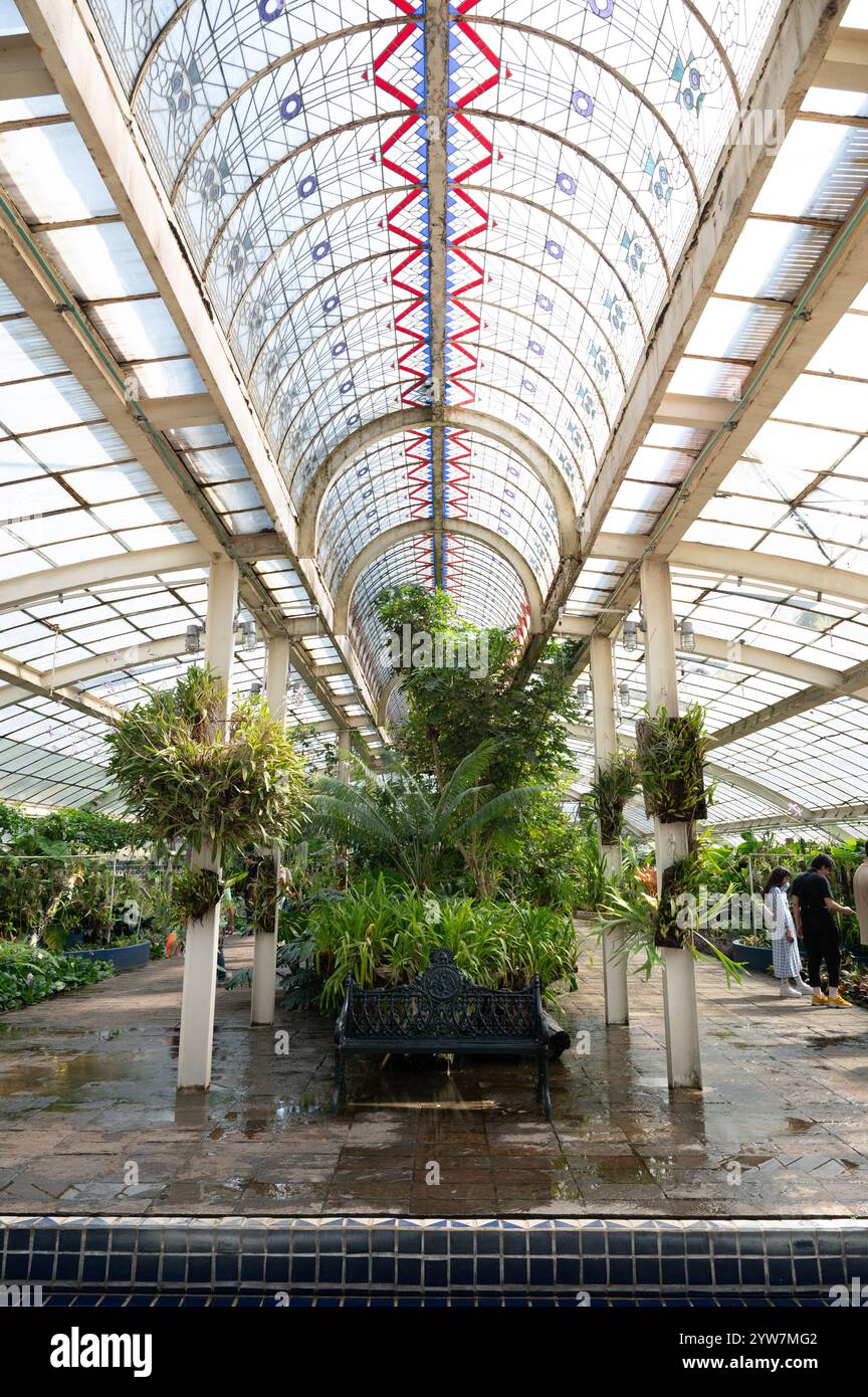 Botanical gardens Mexico City Chapultepec Stock Photo - Alamy