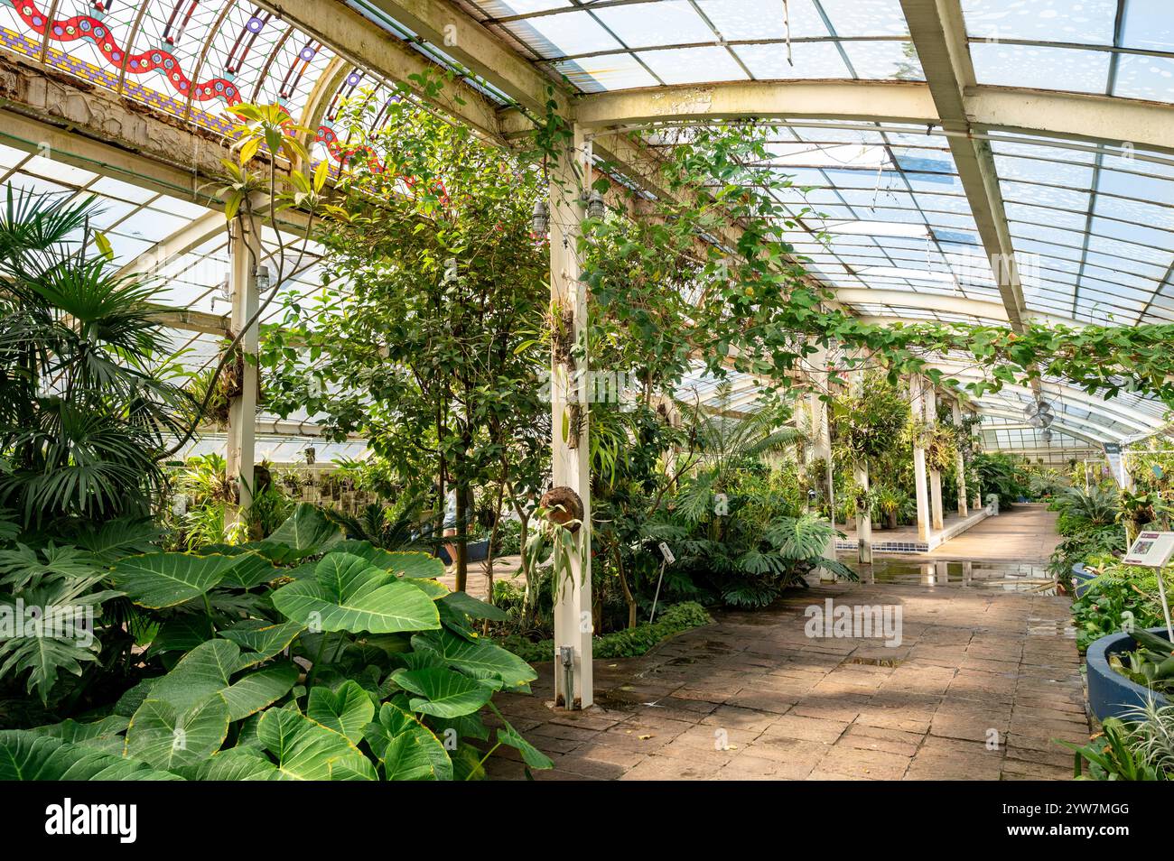 Botanical gardens Mexico City Chapultepec Stock Photo - Alamy