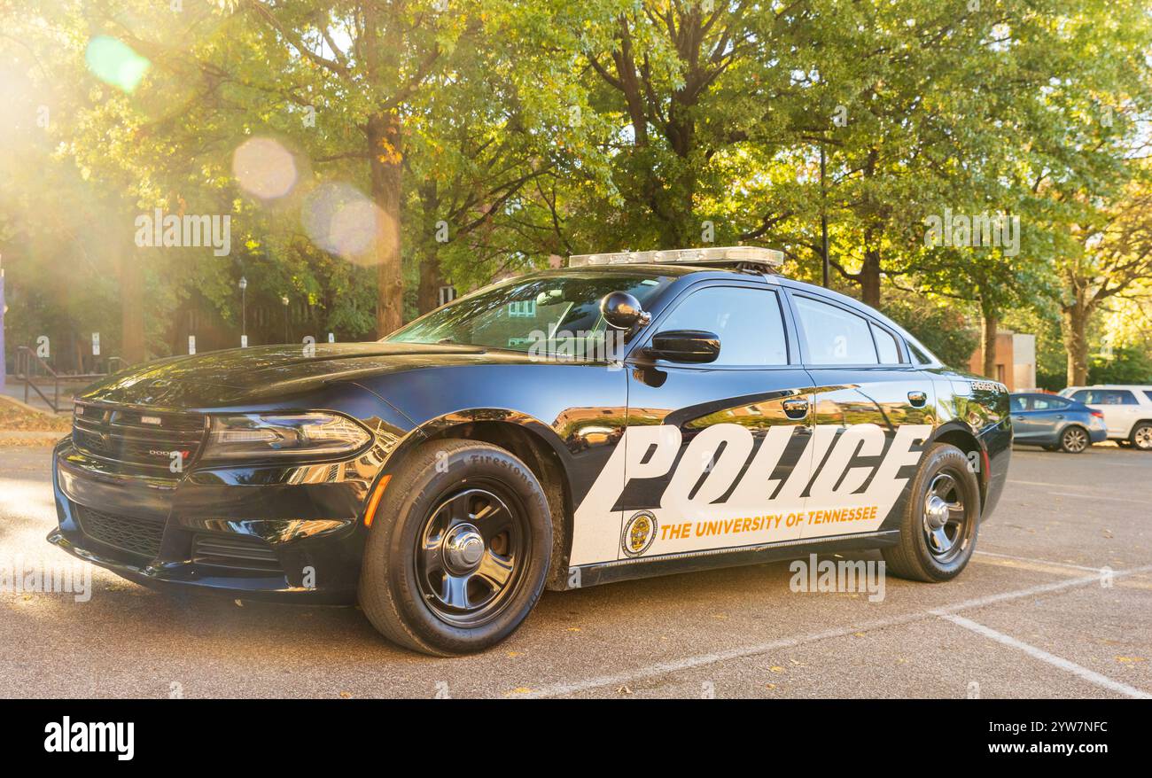 Knoxville Tn Police Car
