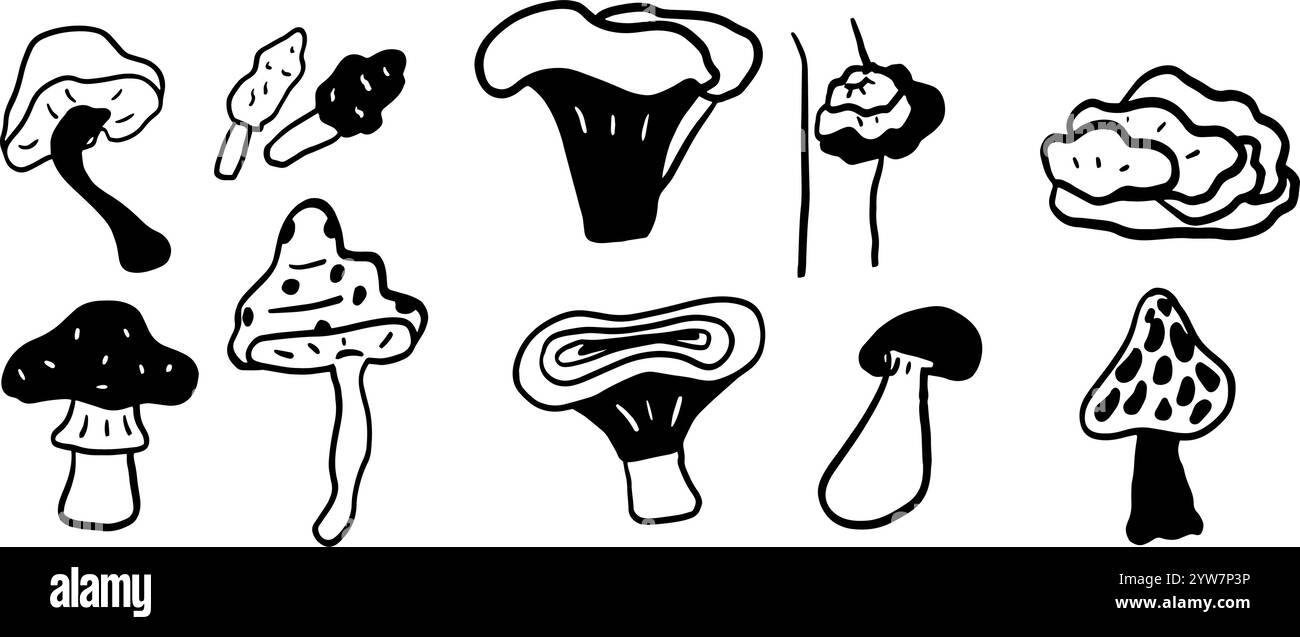 Hand-Drawn Mushroom Illustration Set | Minimalist Doodle Vector for ...