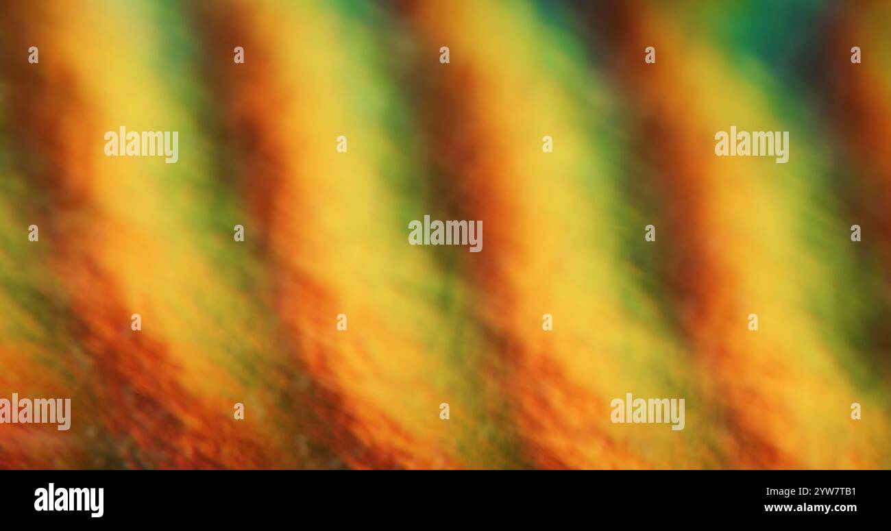 Film grain texture lens flare hi-res stock photography and images - Alamy