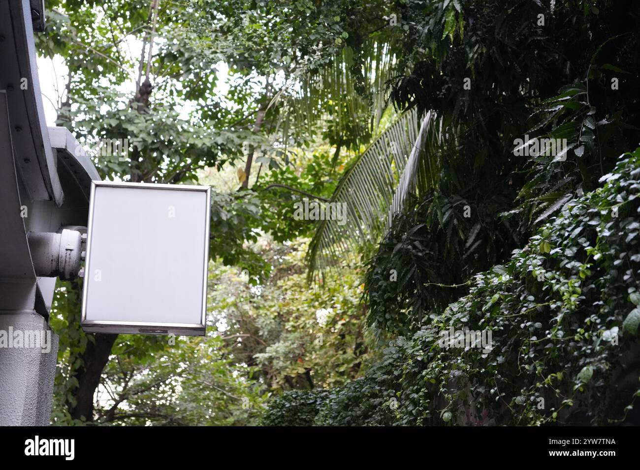 Blank white signboard on the wall outdoor, mock up, with green plant ...