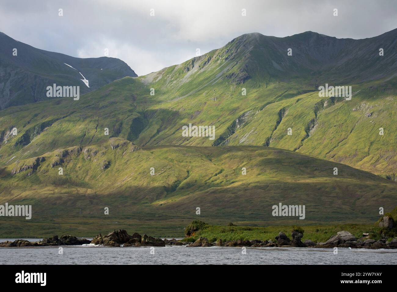 FILE - This 2017 image provided by the U.S. Fish & Wildlife Service ...