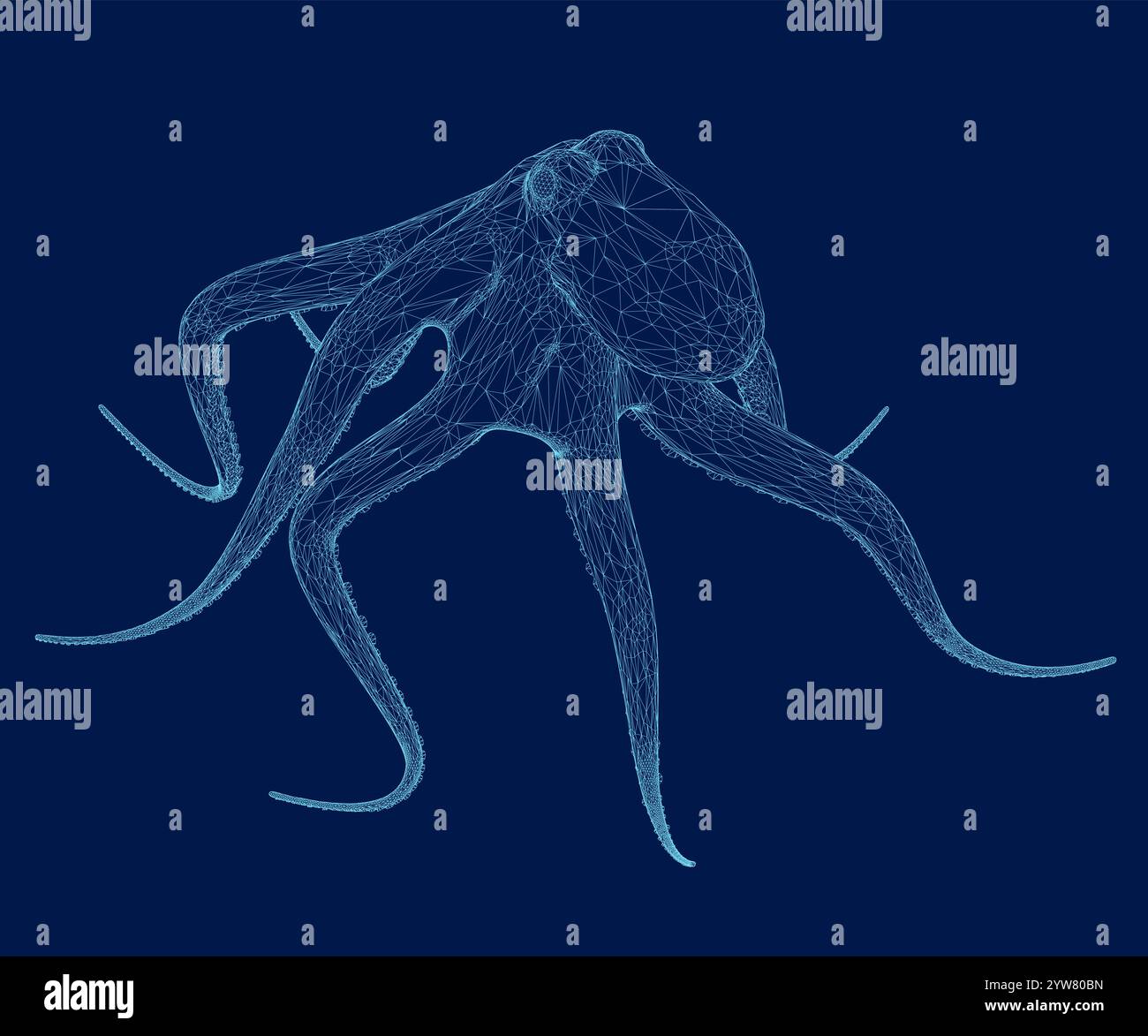 Octopus wireframe vector illustration on a blue background. vector ...