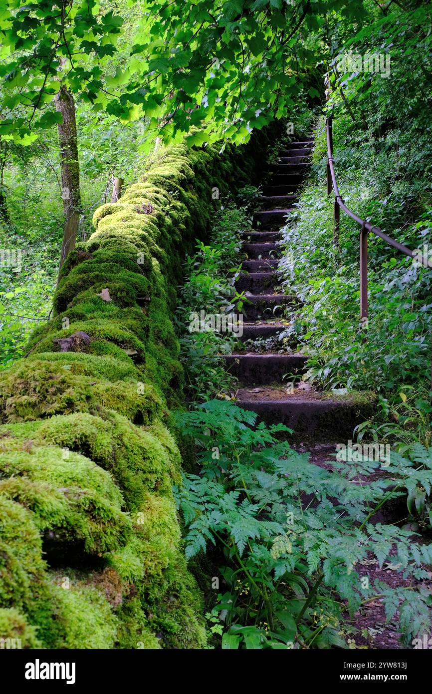 Stone wall moss hi-res stock photography and images - Alamy