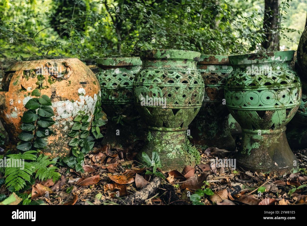 Old clay pots covered with moss and ivy plants in the garden in ...