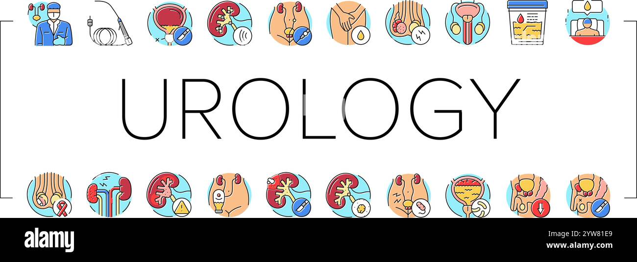 urology prostate urinary kidney icons set vector Stock Vector Image ...