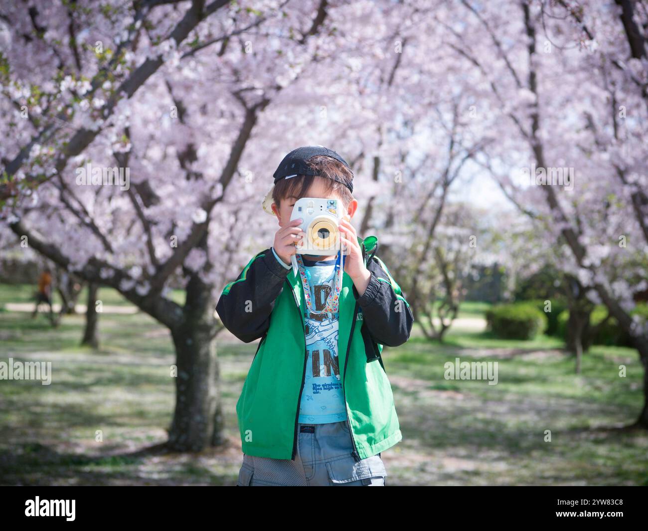 Travel image with children Giant camphor tree in Shizushima Mitoyo City ...