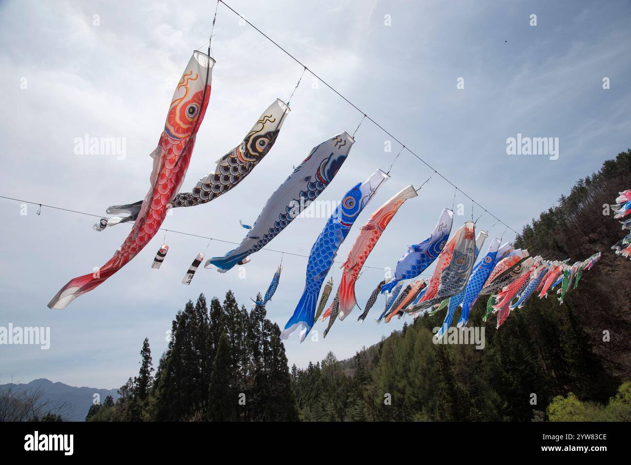 Carp shaped streamers japan hi-res stock photography and images - Alamy