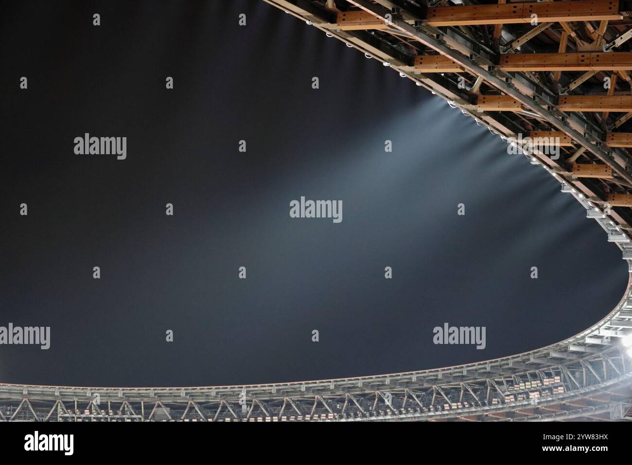 Plenty of trees hi-res stock photography and images - Alamy