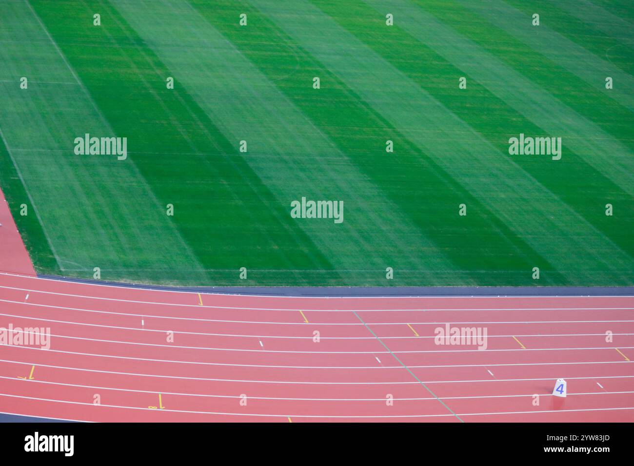 Tokyo marathon 2019 hi-res stock photography and images - Alamy