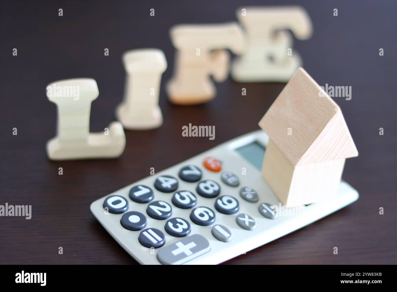 Wooden word blocks representing house-shaped blocks and the word LIFE ...