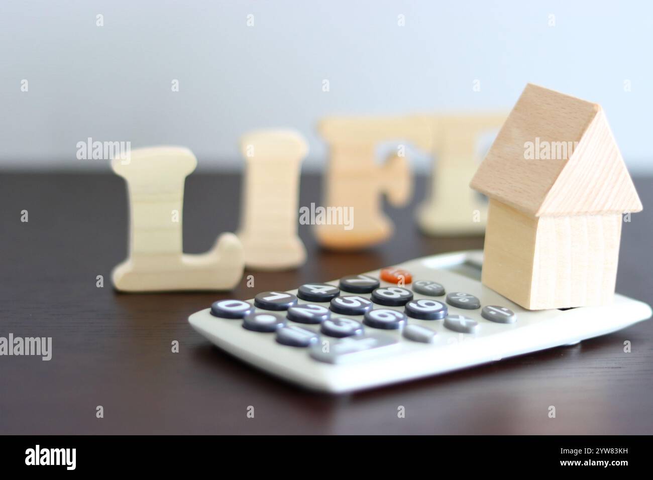 Wooden word blocks representing house-shaped blocks and the word LIFE ...