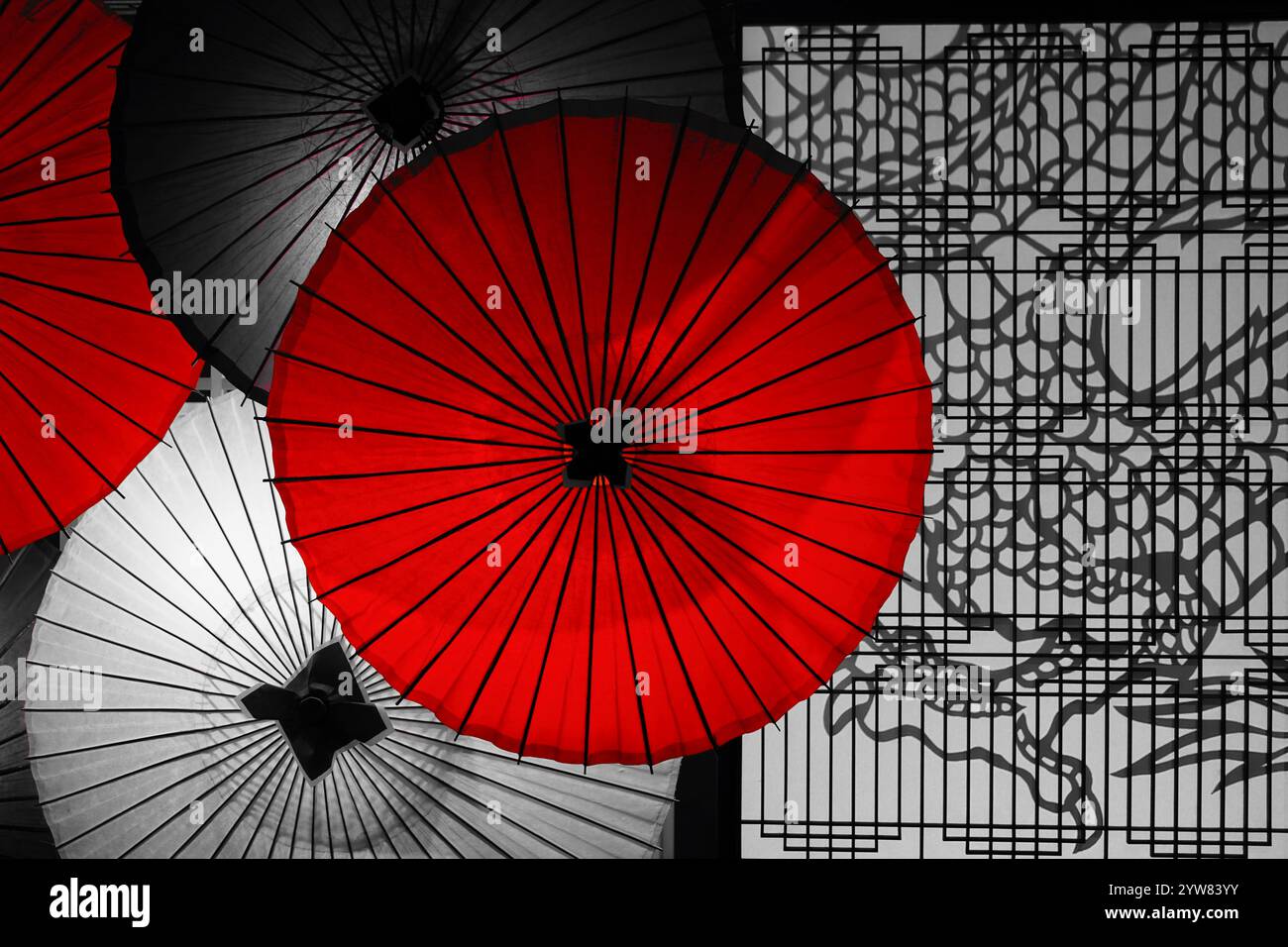 Japanese beauty - Japanese umbrella Stock Photo - Alamy