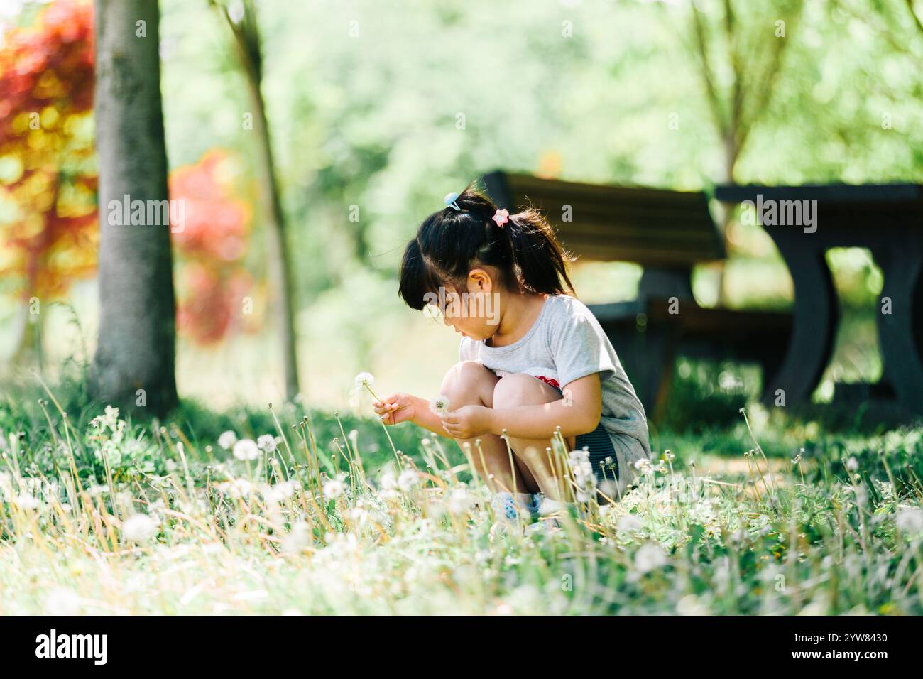 Pick flower girl hi-res stock photography and images - Alamy