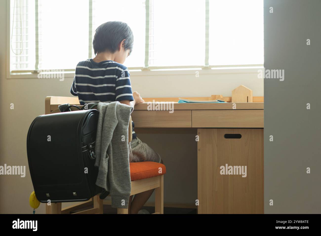 Primary schools boy studying Stock Photo - Alamy
