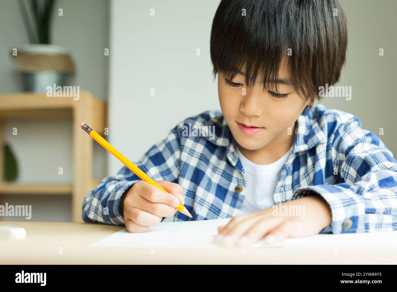Primary schools boy studying Stock Photo - Alamy