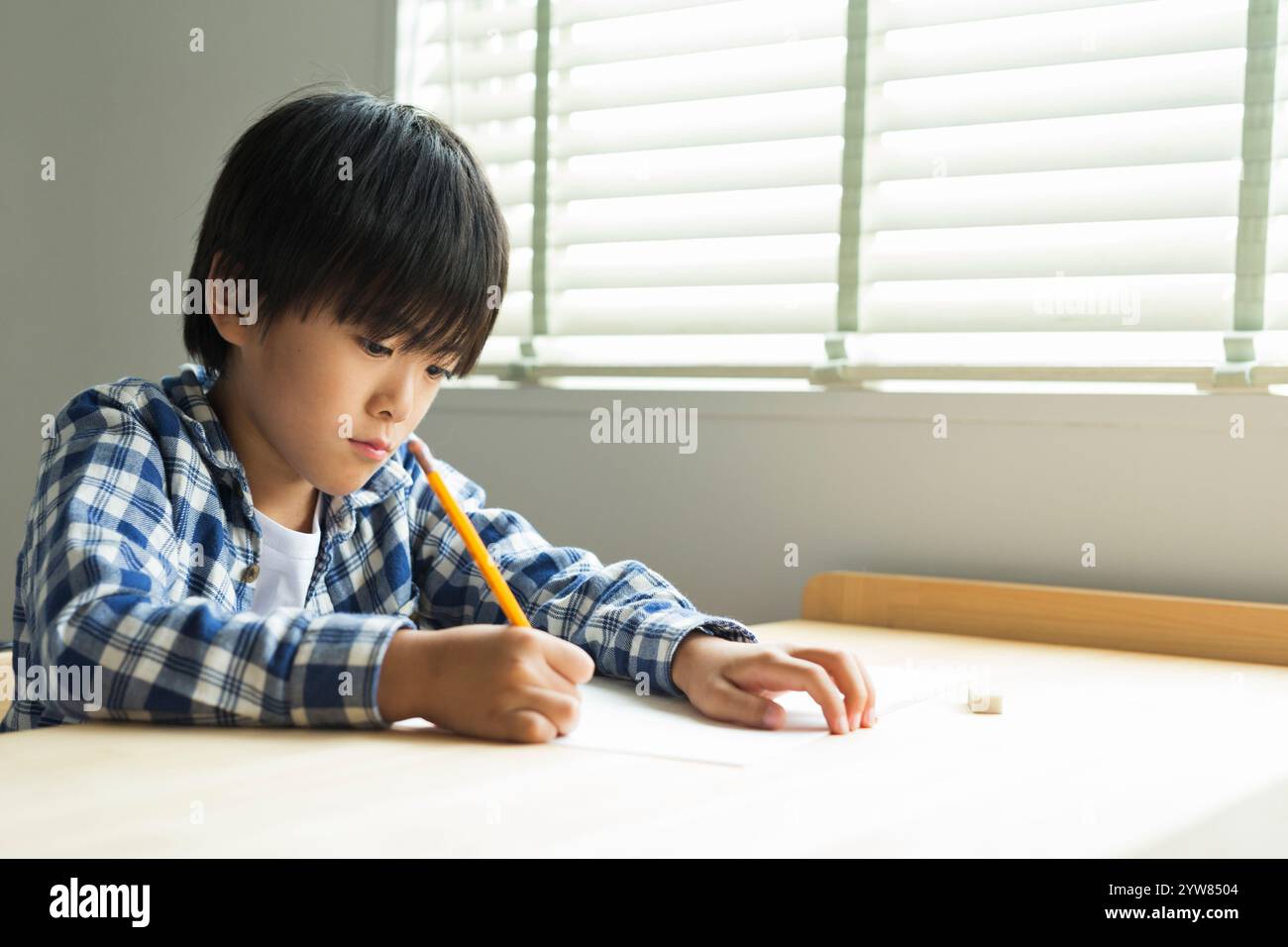 Primary schools boy studying Stock Photo - Alamy