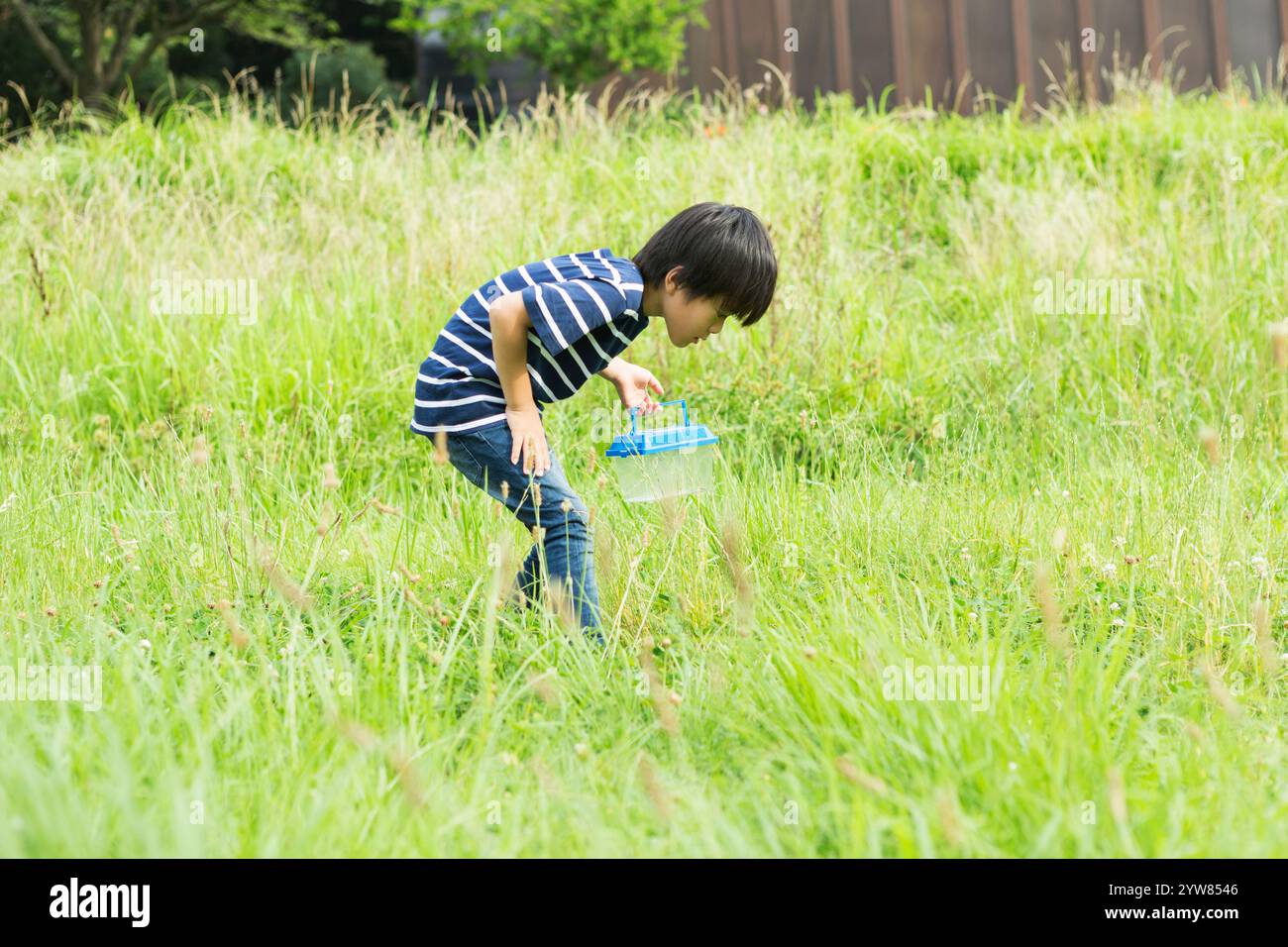 Primary school children catching insects Stock Photo - Alamy