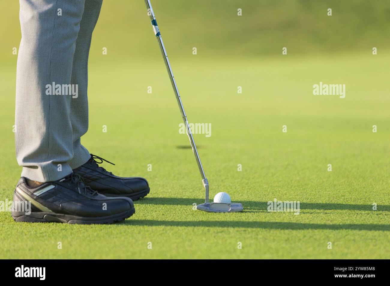 Senior male golfers on their feet Stock Photo - Alamy
