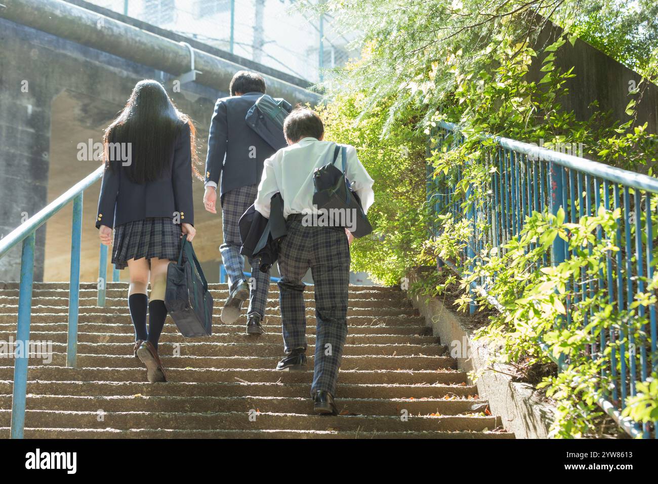 Rear view of high school students climbing stairs Stock Photo - Alamy