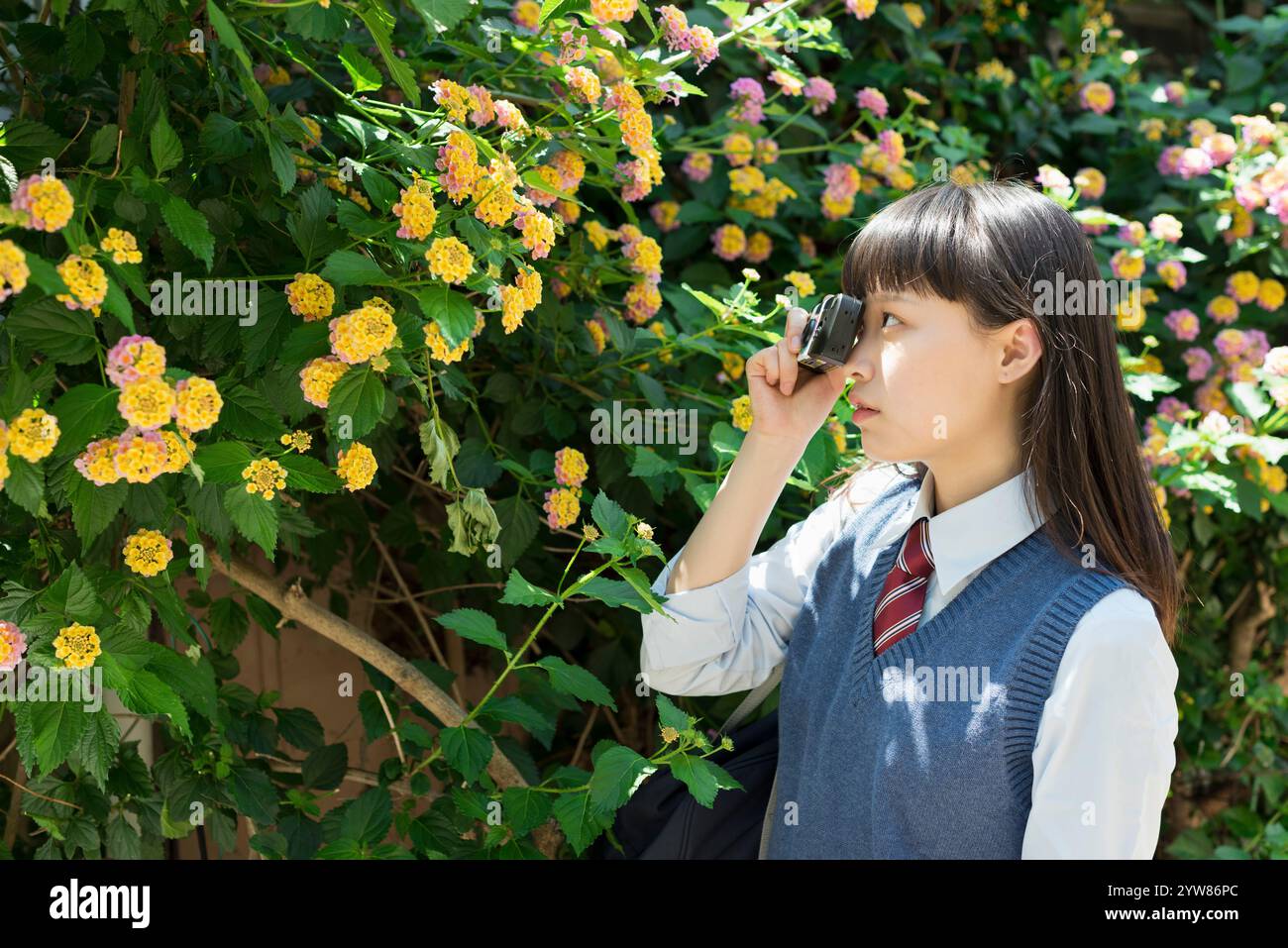 Female high school student Smartphone Flowers Shooting Stock Photo - Alamy