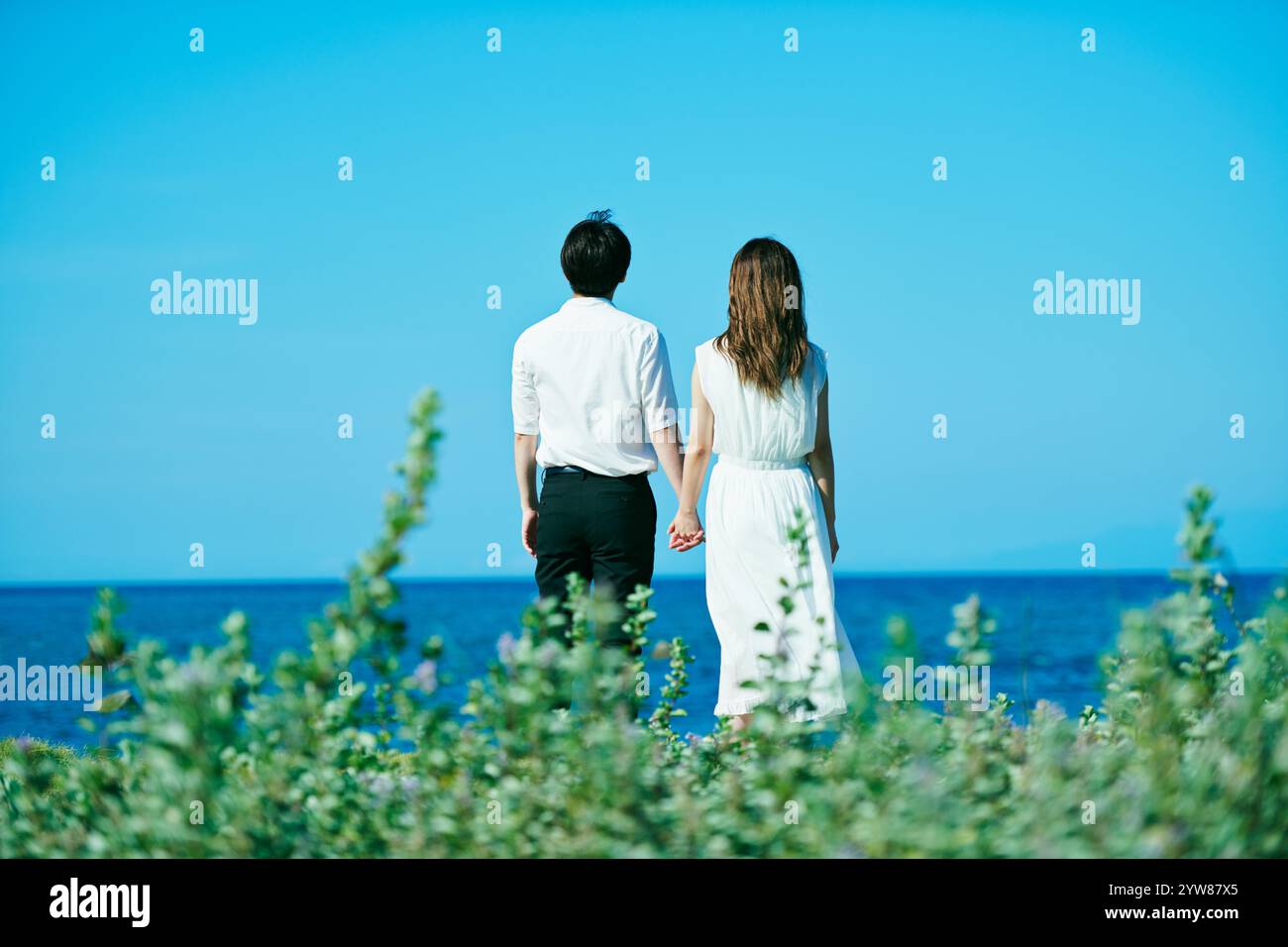 Wedding Couple Back View Stock Photo - Alamy
