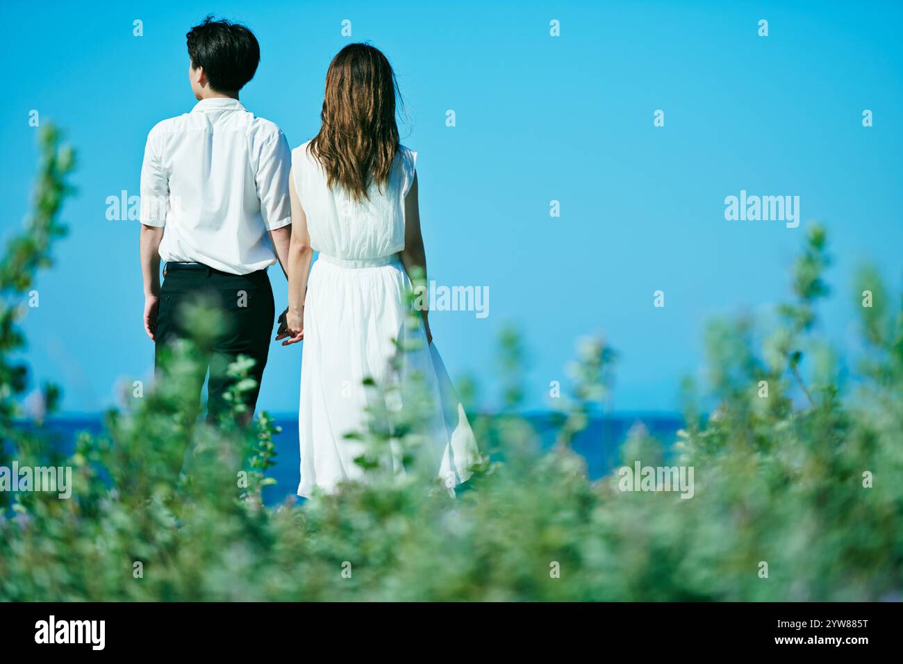Wedding Couple Back View Stock Photo - Alamy