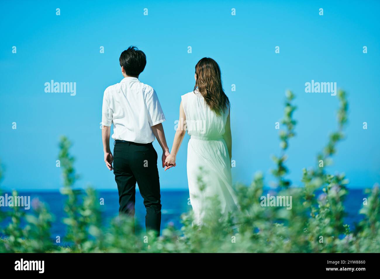 Wedding Couple Back View Stock Photo - Alamy