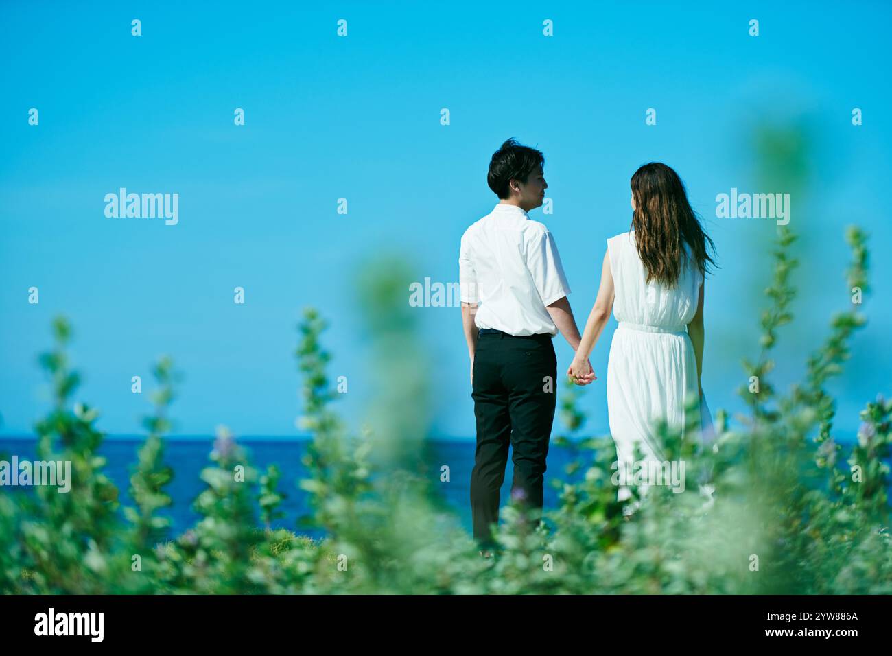 Wedding Couple Back View Stock Photo - Alamy