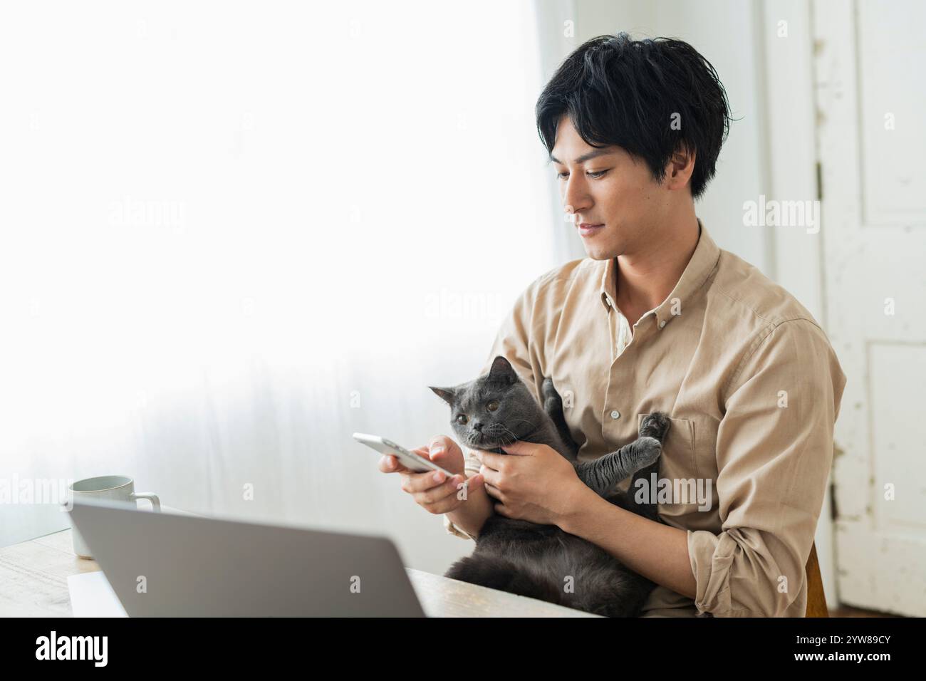 Man and cat working remotely Stock Photo - Alamy