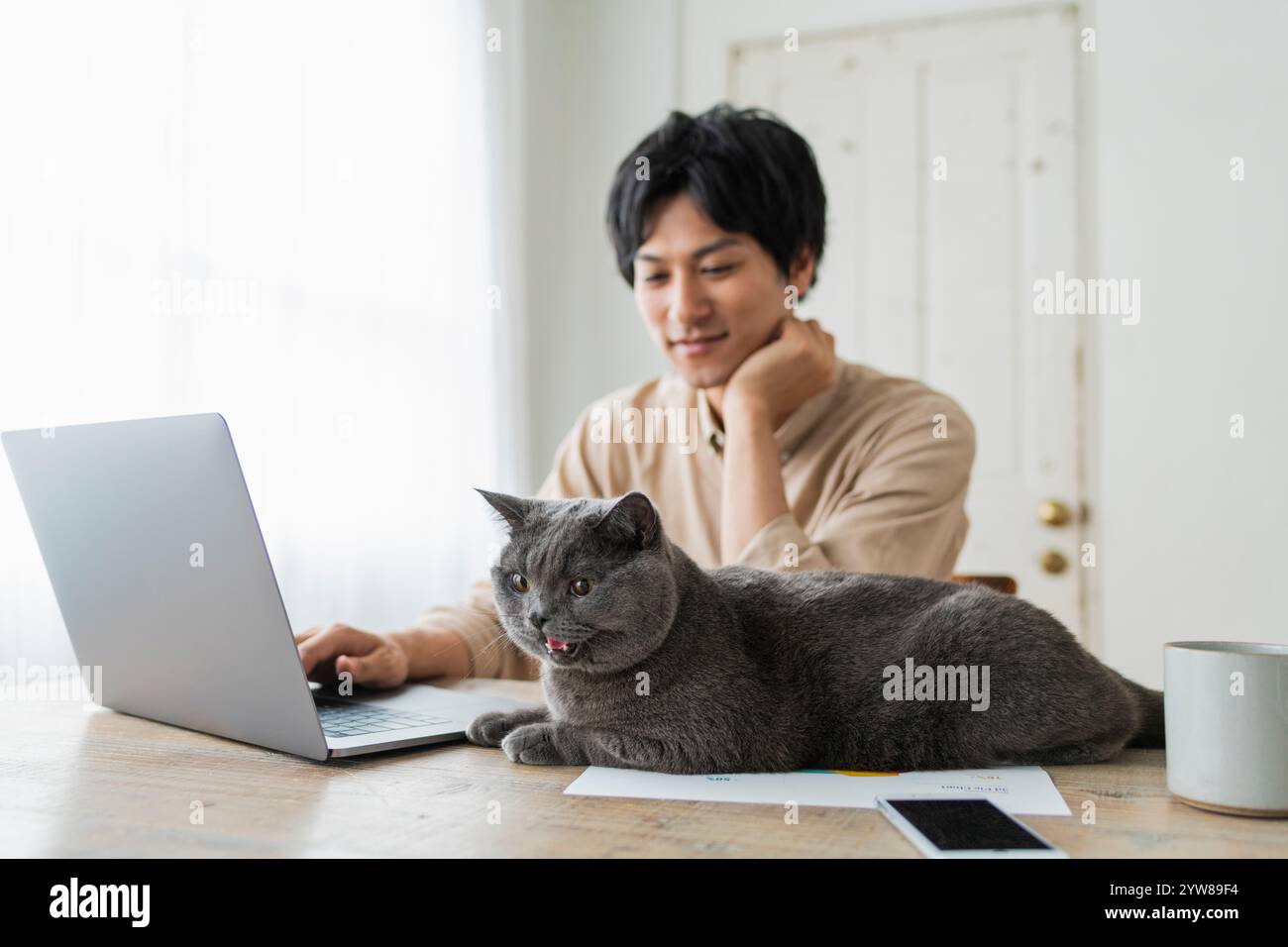 Man and cat working remotely Stock Photo - Alamy