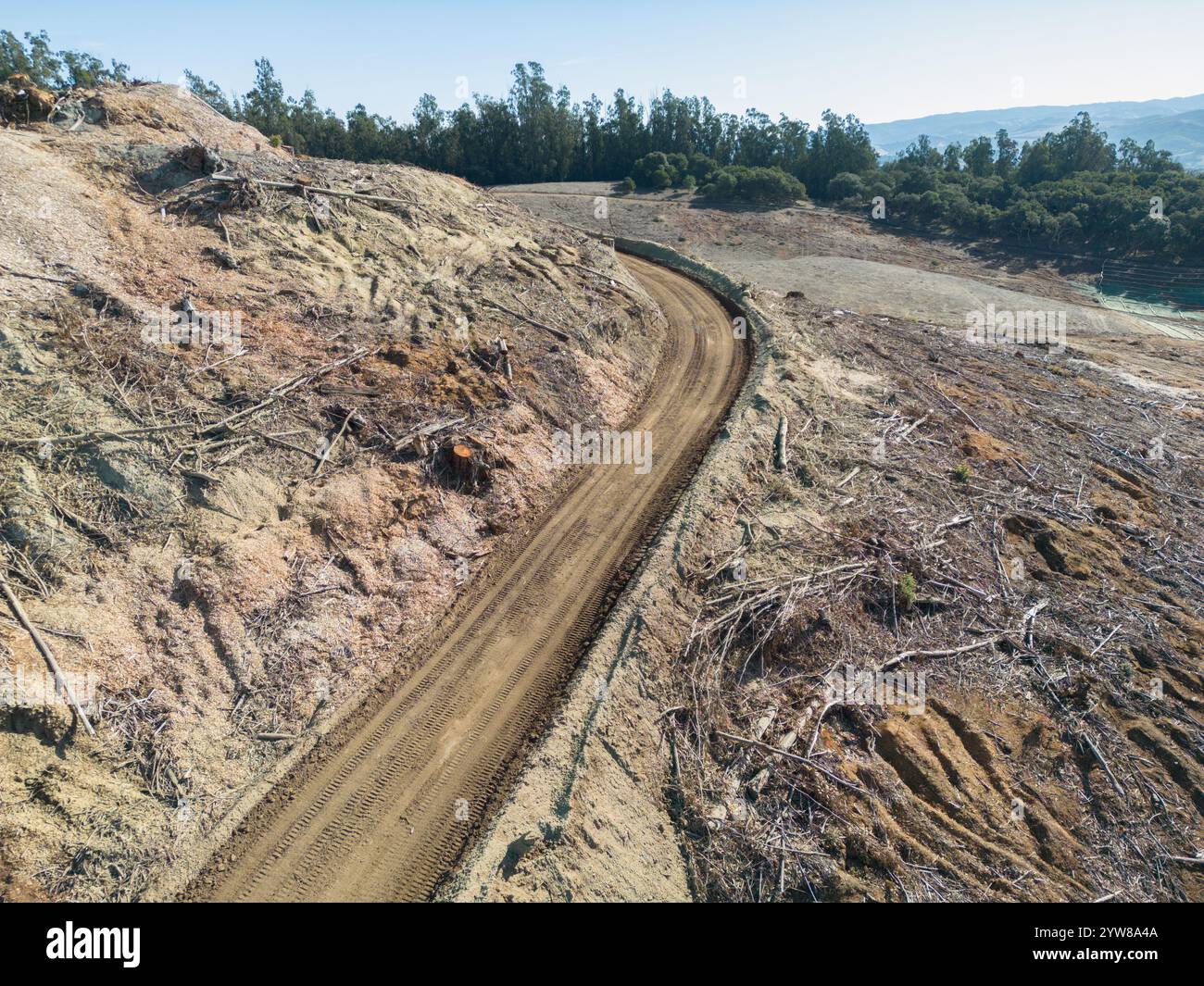 A dirt road carved into a hillside where trees have been cut down Stock ...