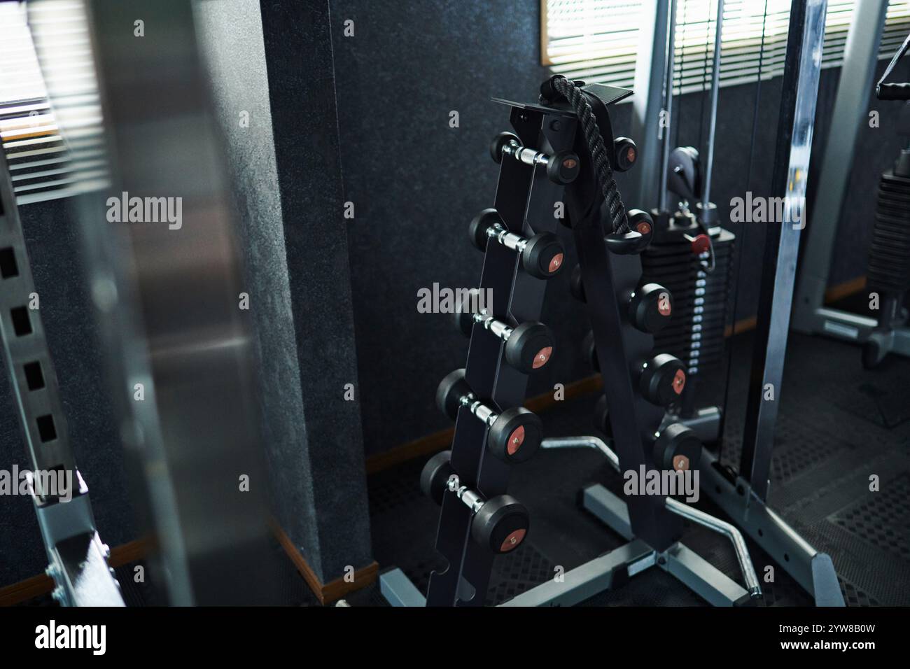 Stylish training hi-res stock photography and images - Alamy