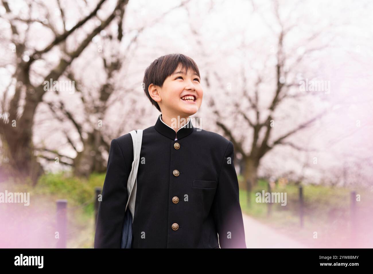 Junior high school students Spring Stock Photo - Alamy