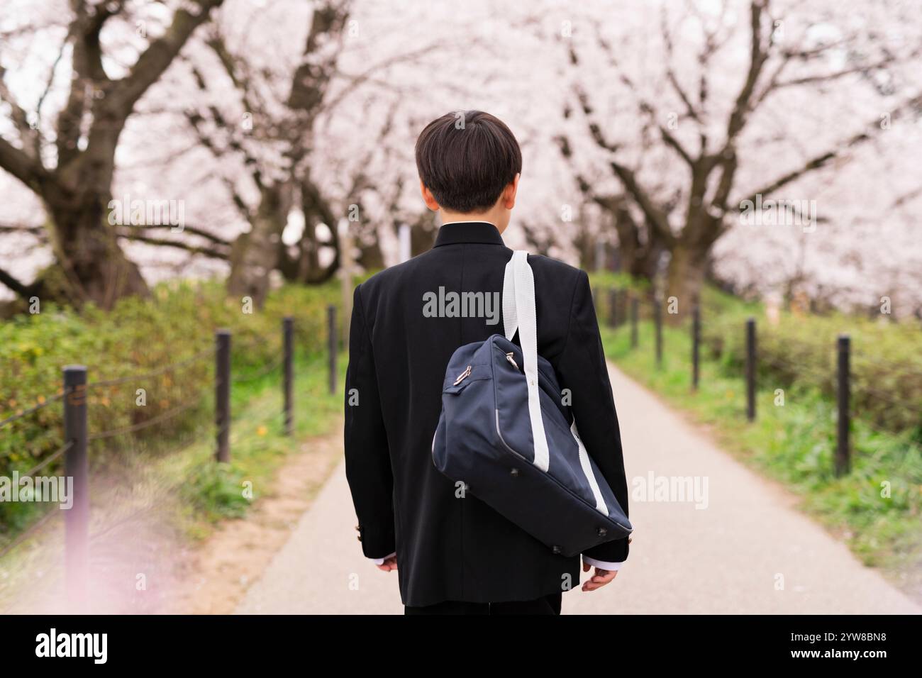 Junior high school students Spring Stock Photo - Alamy