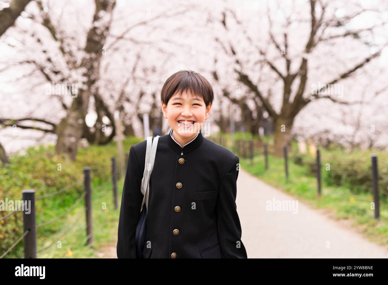 Junior high school students Spring Stock Photo - Alamy