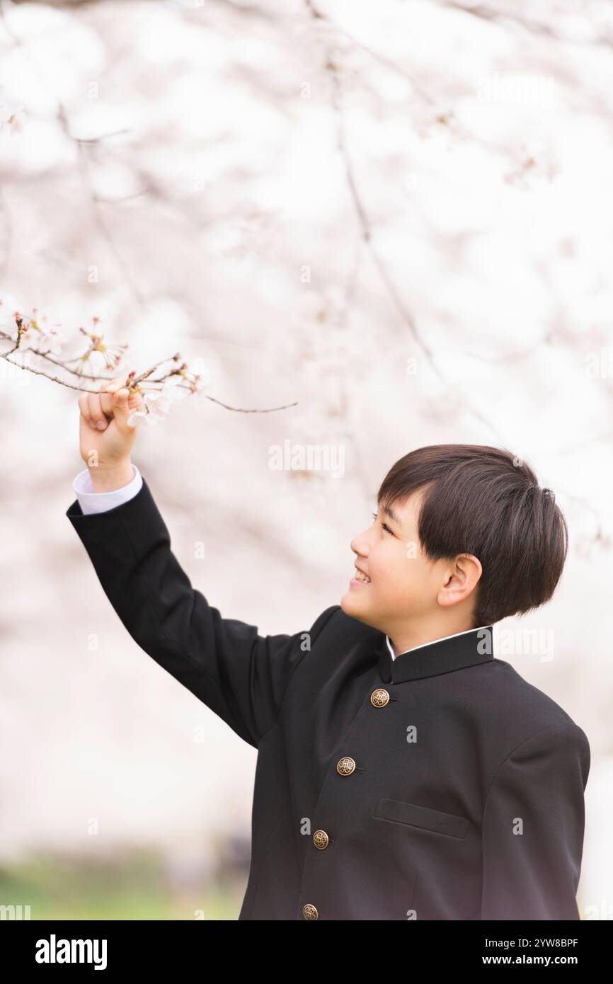 Junior high school students Spring Stock Photo - Alamy