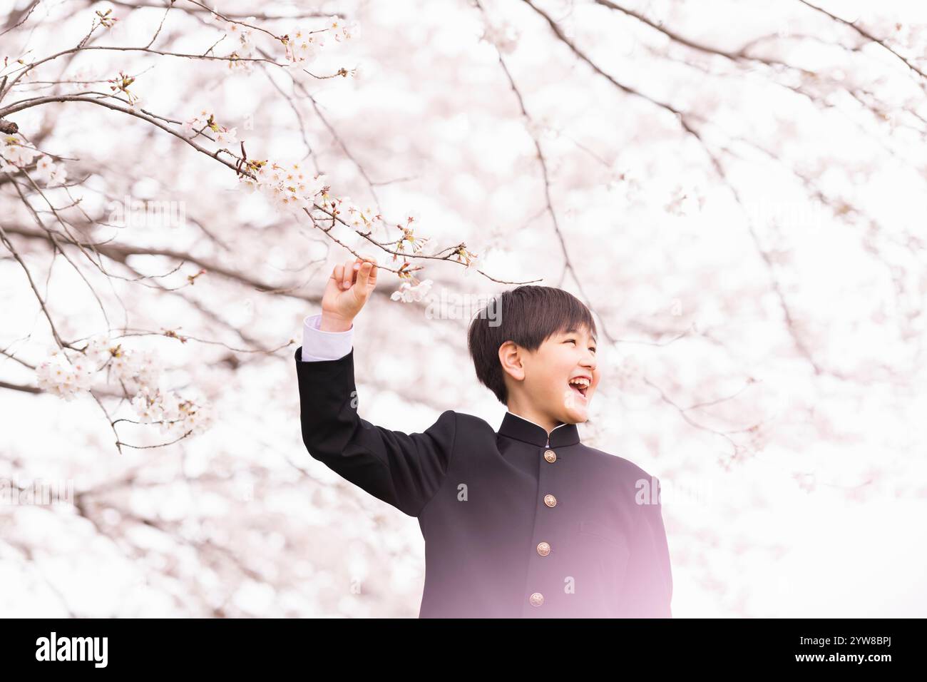Junior high school students Spring Stock Photo - Alamy