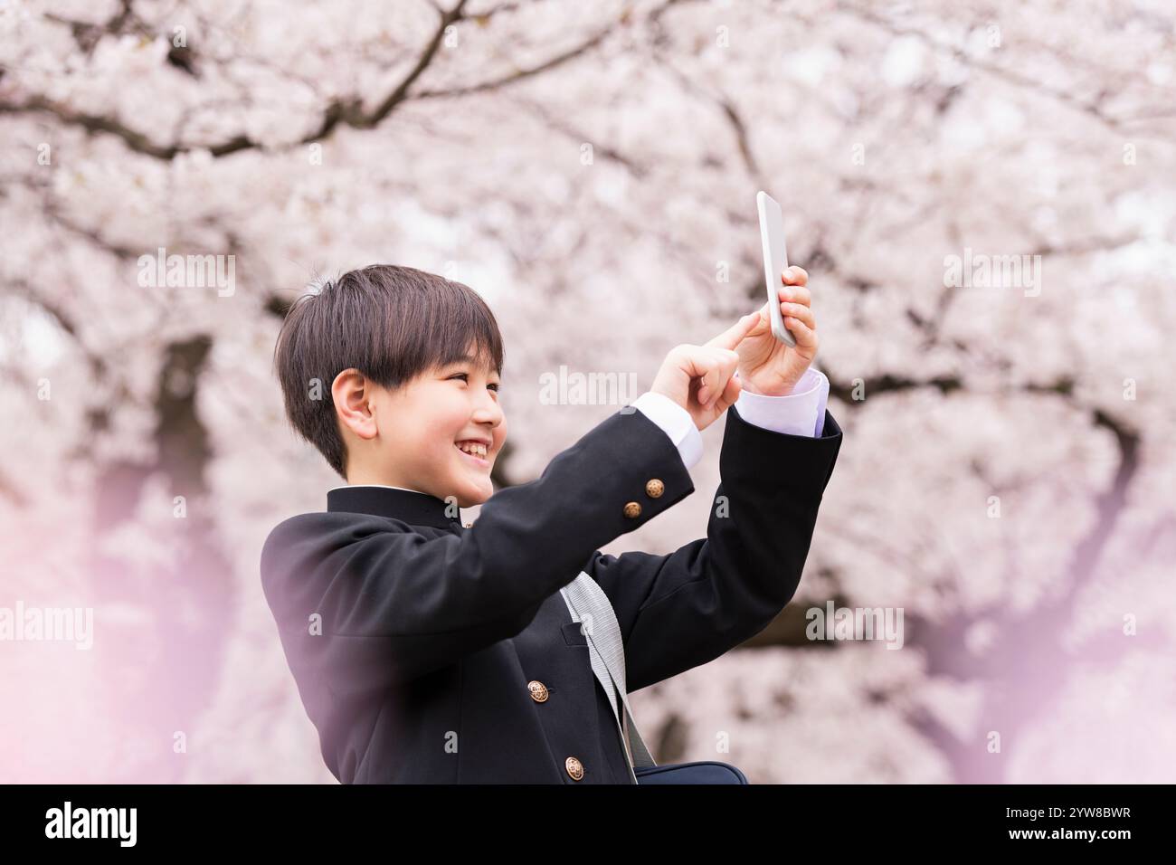 Junior high school students Spring Stock Photo - Alamy