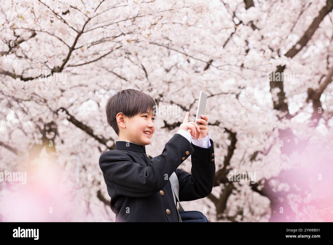 Junior high school students Spring Stock Photo - Alamy