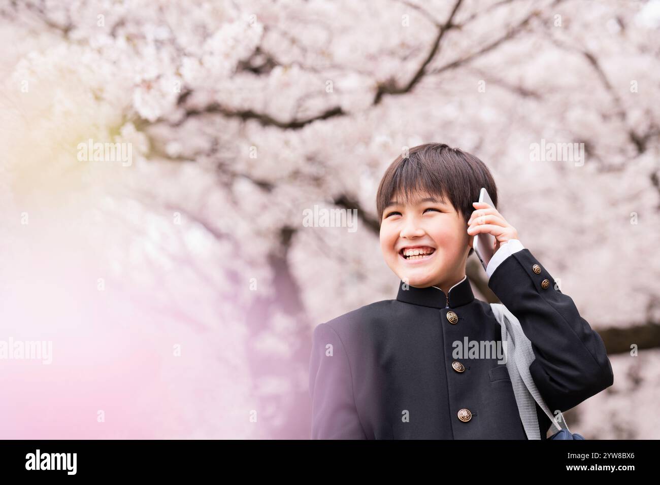 Junior high school students Spring Stock Photo - Alamy
