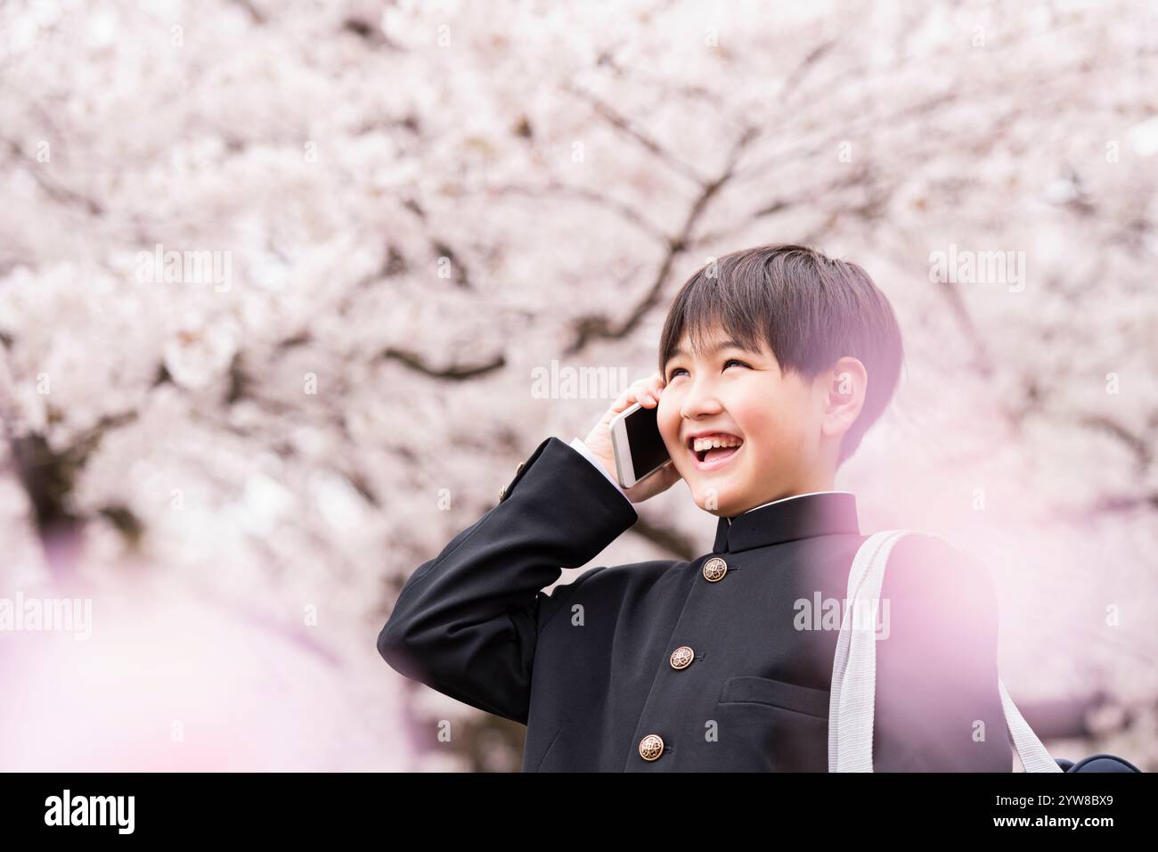 Junior high school students Spring Stock Photo - Alamy